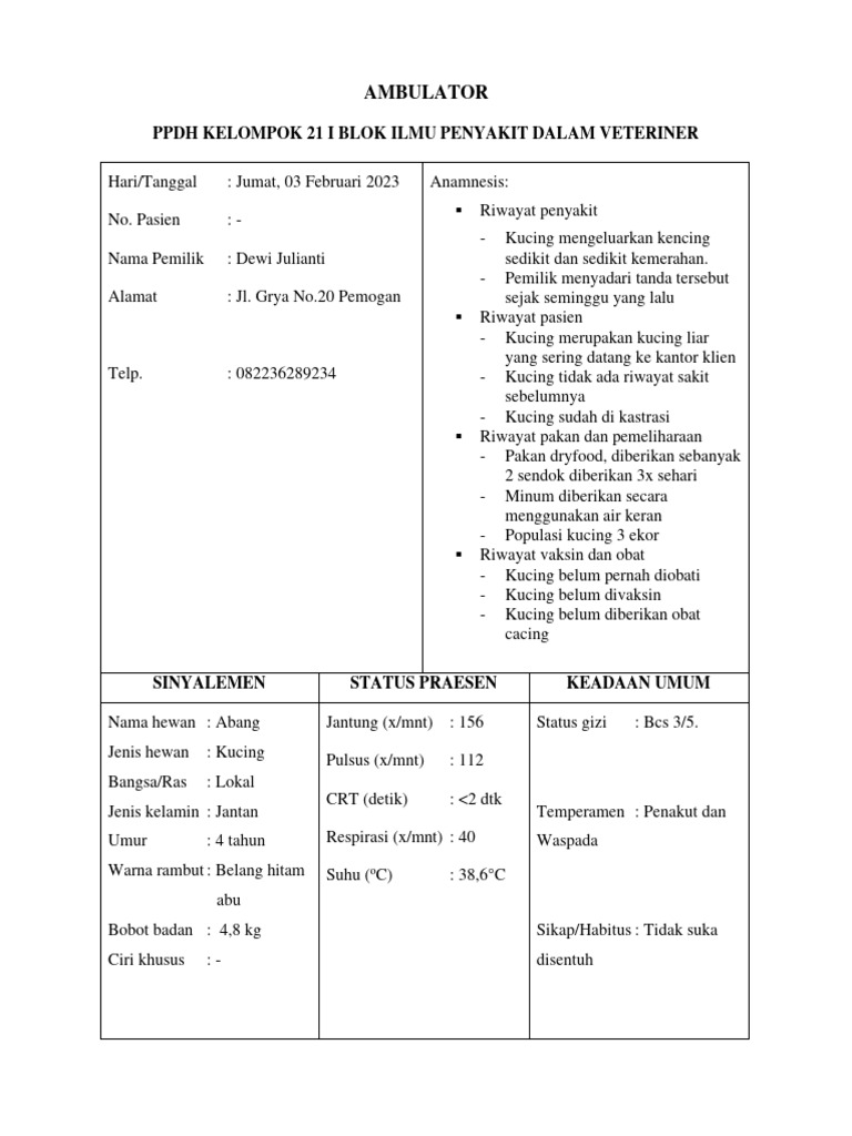 Ambulator Dok Batan Kucng Abang - Flutd | PDF