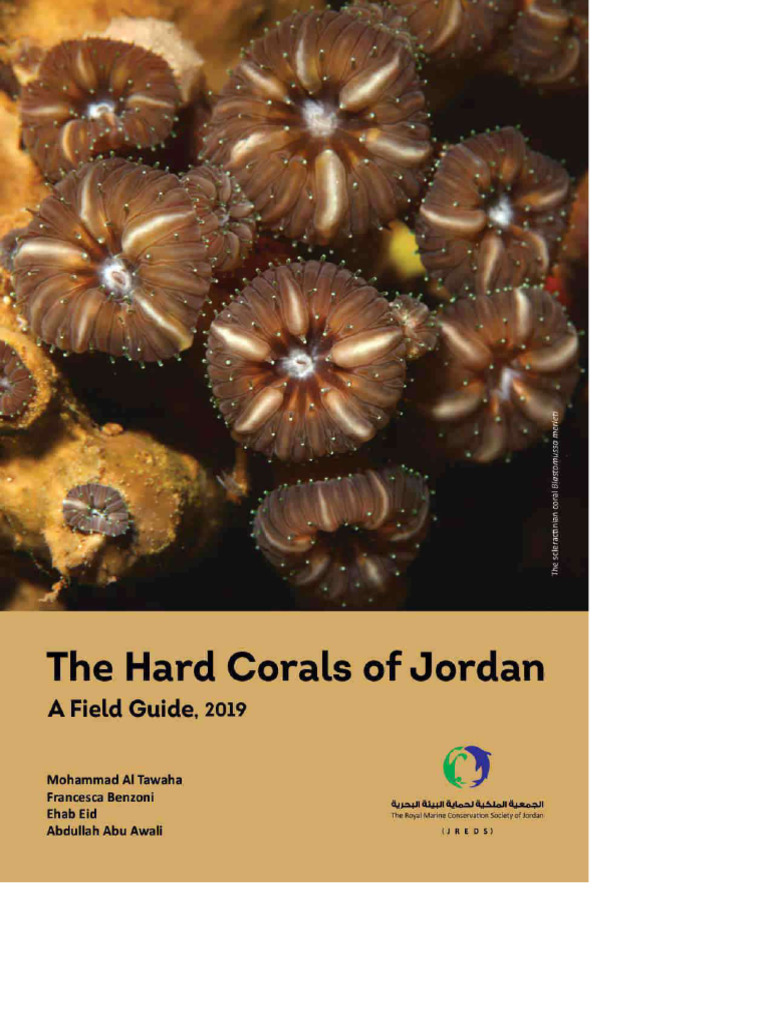 The Hard Corals of Jordon | PDF