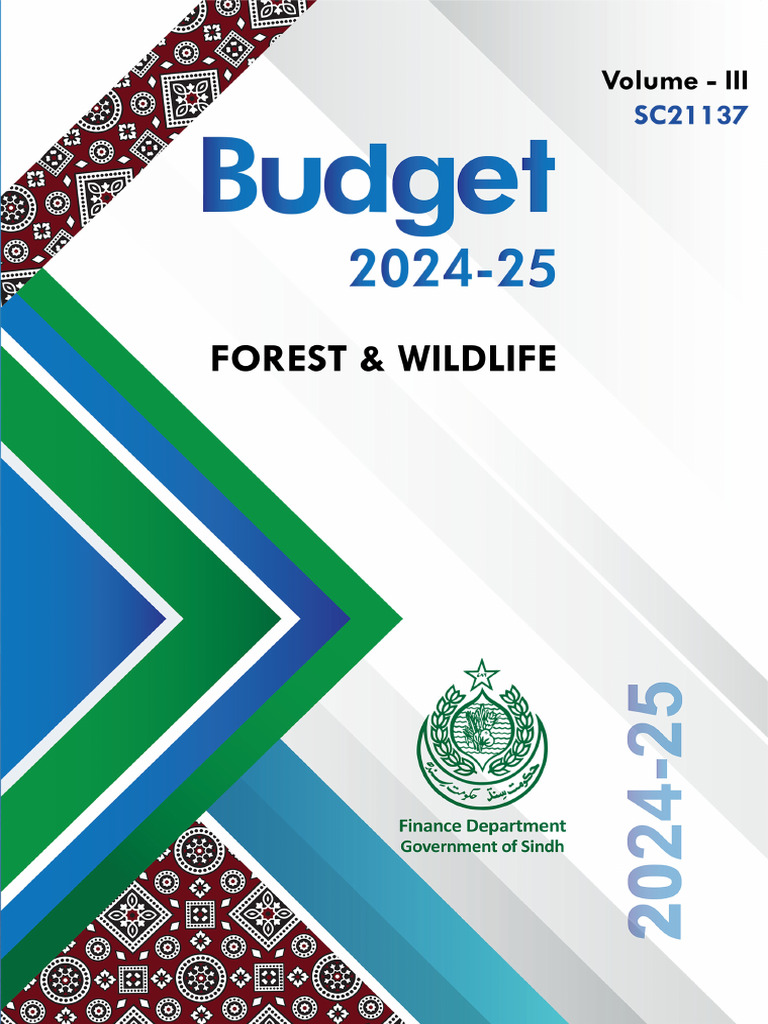 Budget Sindh 2024 | PDF