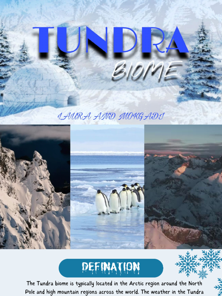 TUNDRA BIOME | PDF | Climate Change | Ecosystem