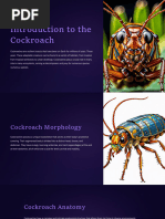 Cockroach Ncert | PDF