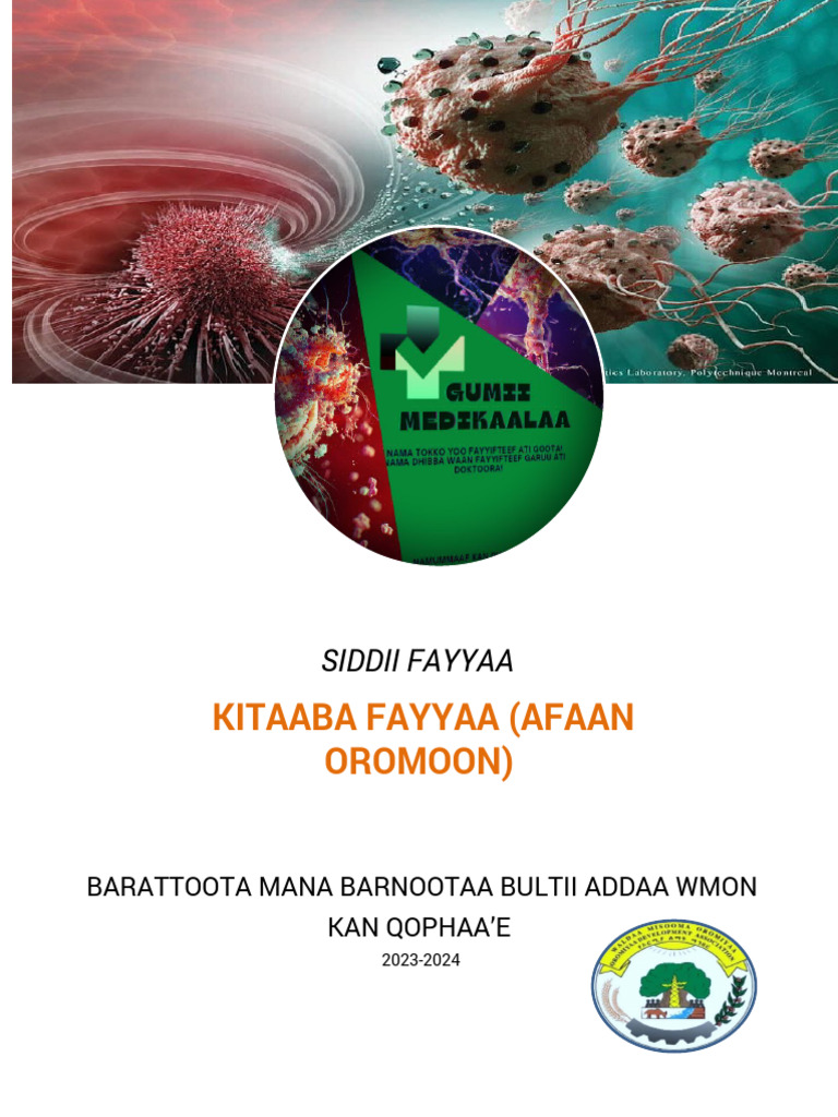 Siddii Fayyaa | PDF