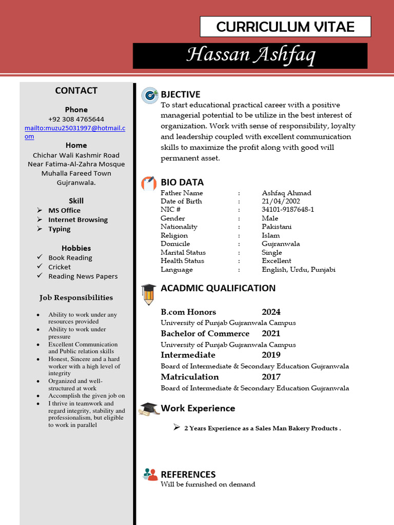 Aspiring Manager's CV | PDF