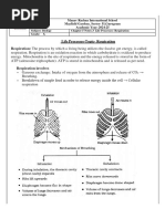 IGCSE Biology: Respiration Overview | PDF | Respiratory System ...