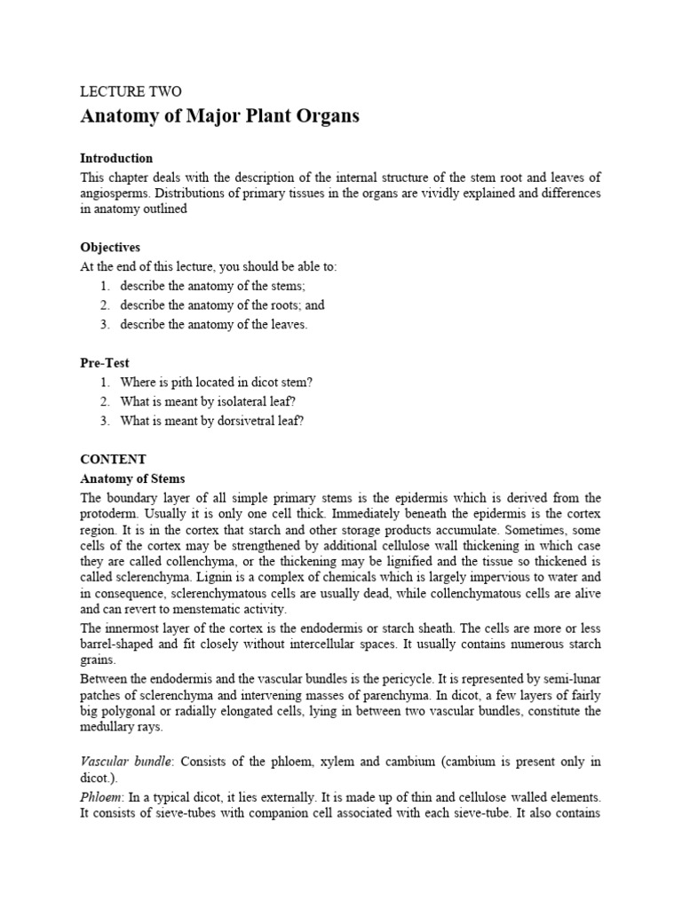 01 Cpe 213 Lecture Two Crop Anatomy | PDF | Leaf | Plant Stem