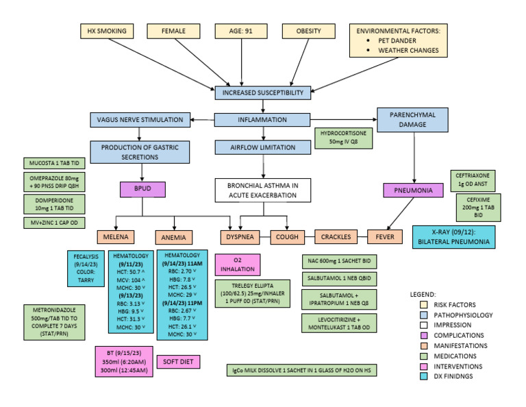 Asthma Concept Map Pdf Pulmonology Respiratory Diseases 