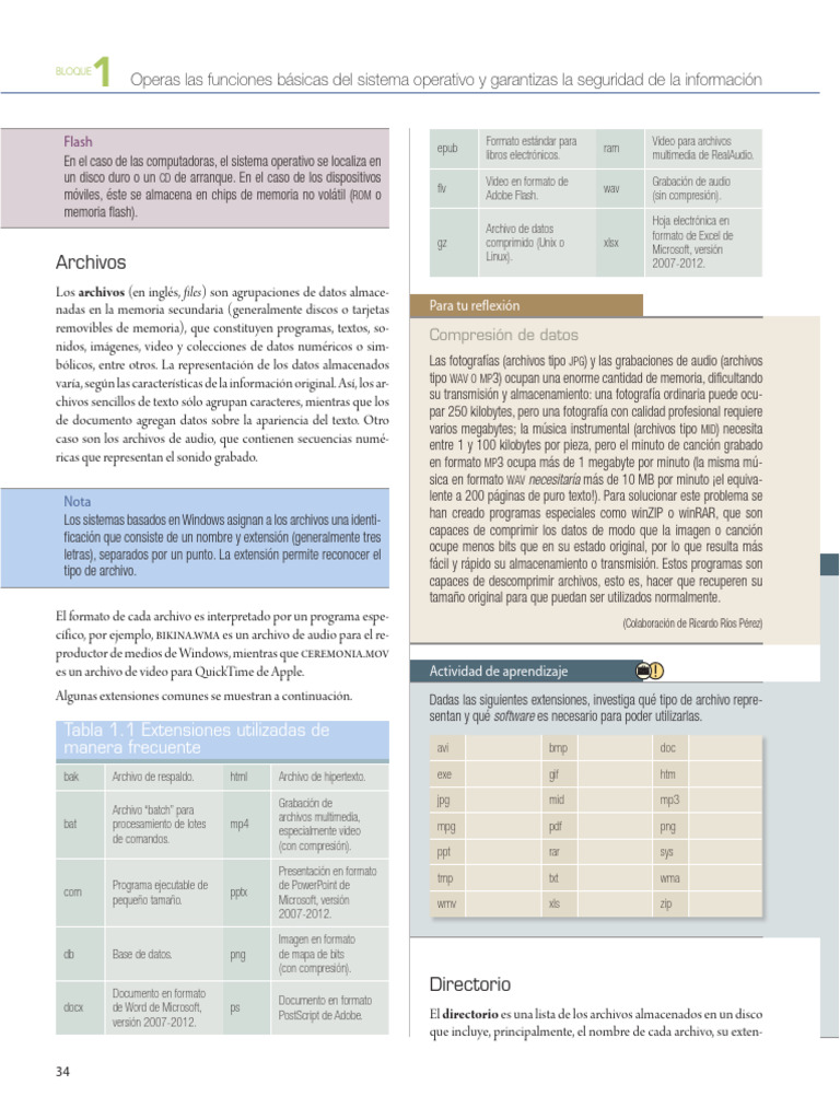 Informática 1 - Jorge Vasconcelos Santillán-FreeLibros.Me_43 | PDF ...