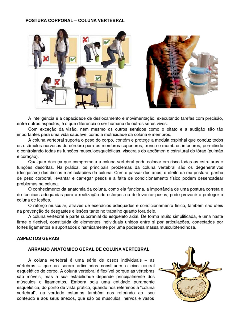 Texto Postura Corporal | PDF | Coluna vertebral | Anatomia