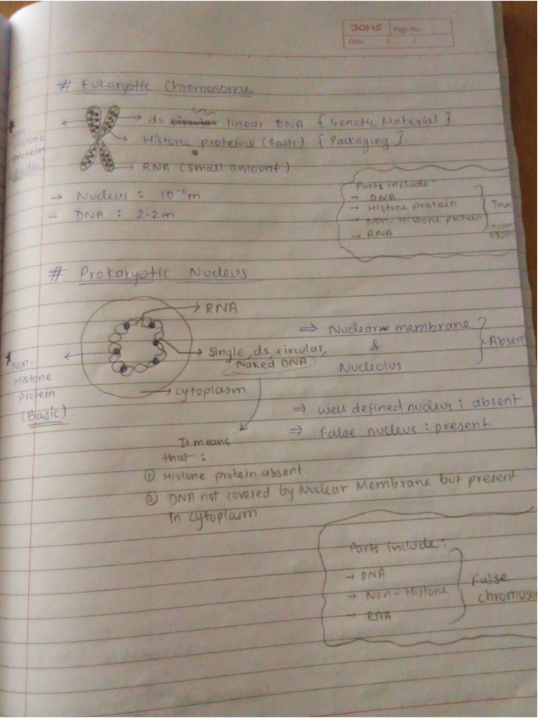 Scanned 20240702 171644 | PDF