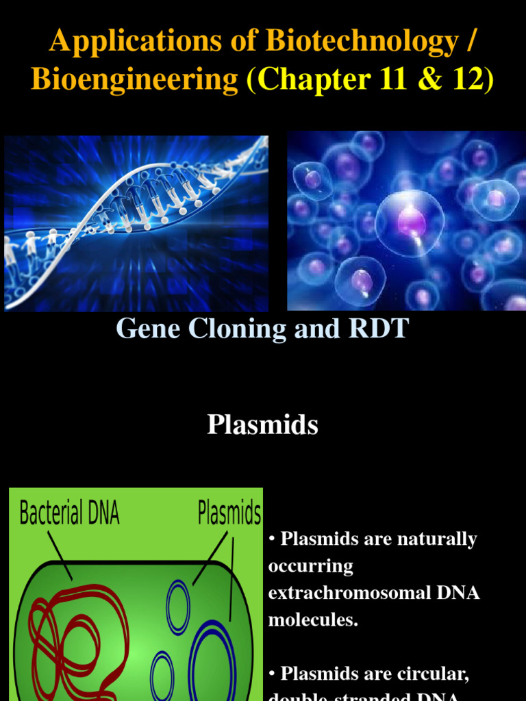 Class 10 Gene Cloning RC | PDF | Molecular Cloning | Plasmid