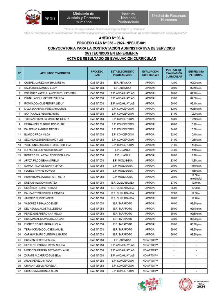 Evaluacion Curricular Cas #058 | PDF | Informática