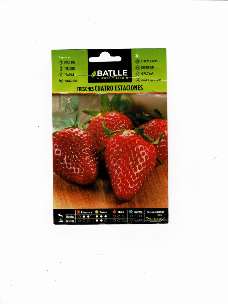 Semillas Fresas | PDF