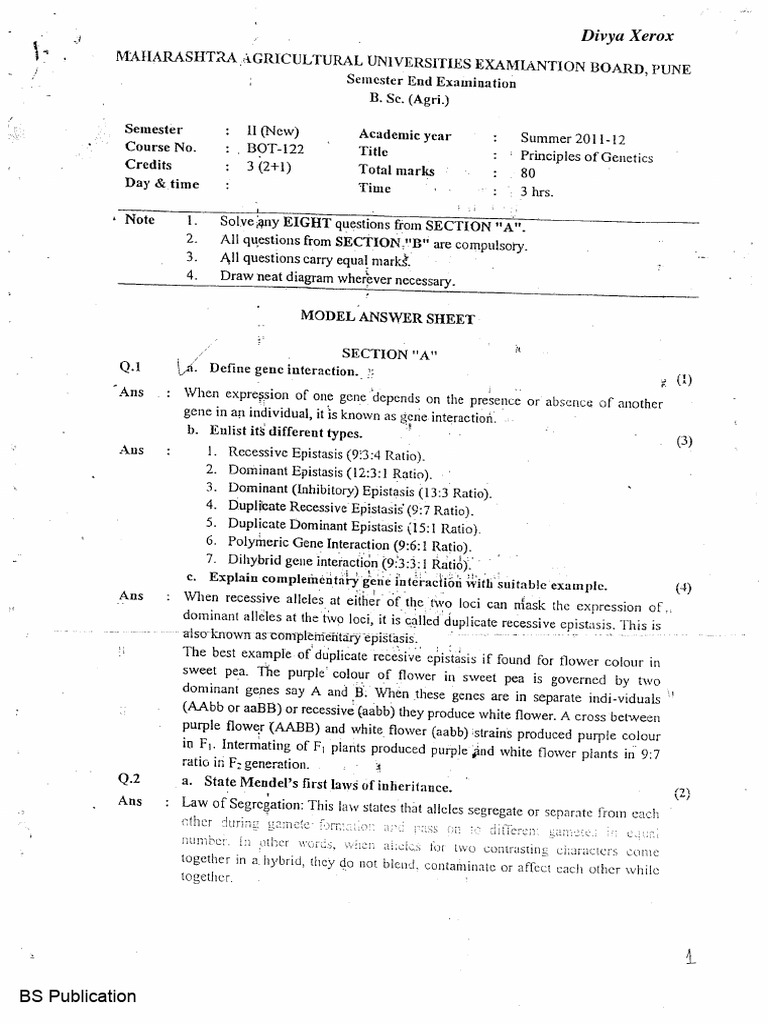 GPB-121-ANS-SHEET | PDF