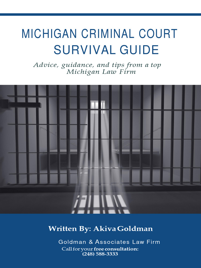 MI Criminal Court Survival Guide | PDF | Theft | Burglary