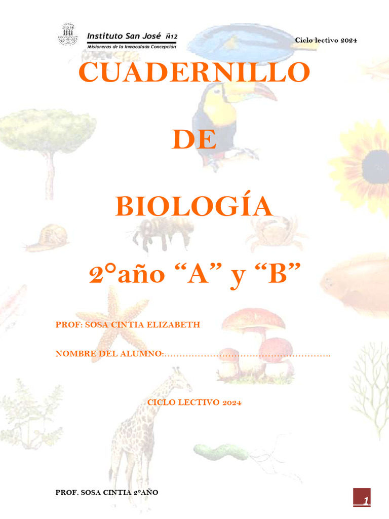 Cuadernillo 2 Año Pdf Elementos Químicos átomos
