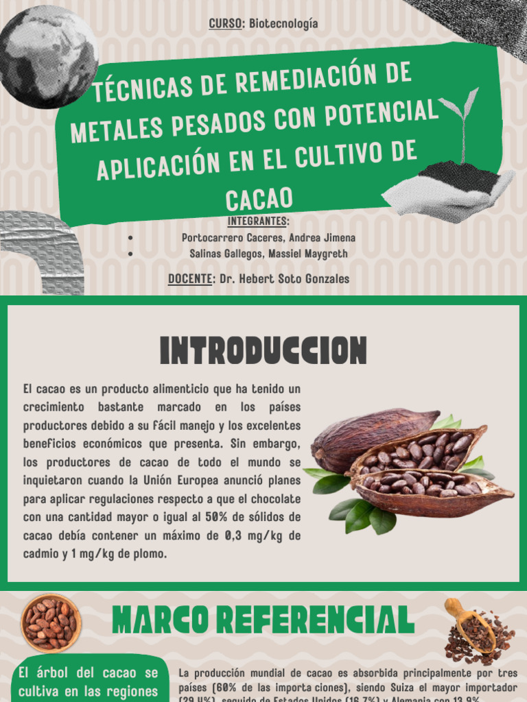 Técnicas de Remediacion de Metales Pesados Con Potencial Aplicación en El Cultivo Del Cacao ...