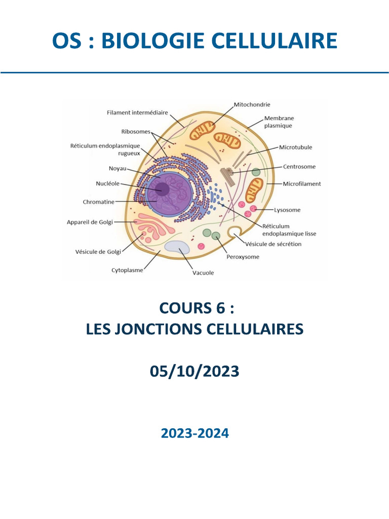 Cours 6 Os Biologie Cellulaire 2023-2024-95605 | PDF