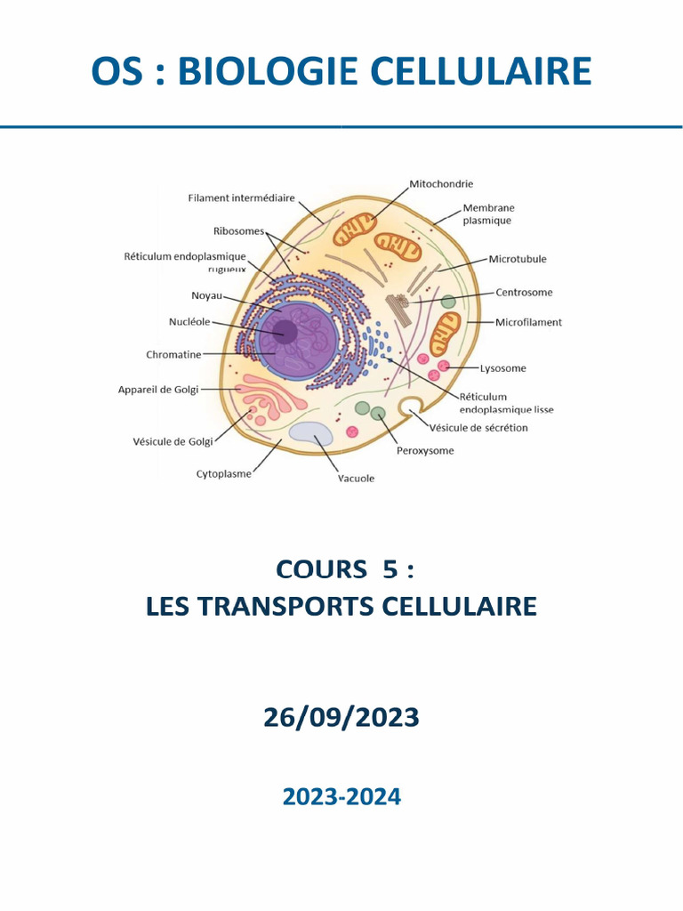 Cours 5 Os Biologie Cellulaire 2023-2024 Scan-94808 | PDF