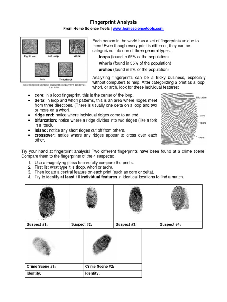 Fingerprint Analysis Sheet | PDF | Fingerprint | Computing
