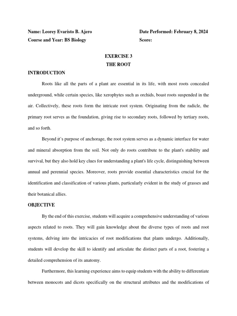 Exercise 3 - Plant Roots Lab Report - Leorey Ajero 2 | PDF | Root ...
