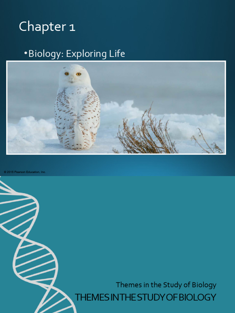 VVC Bio 100 Chapter 1 | PDF | Cell (Biology) | Life