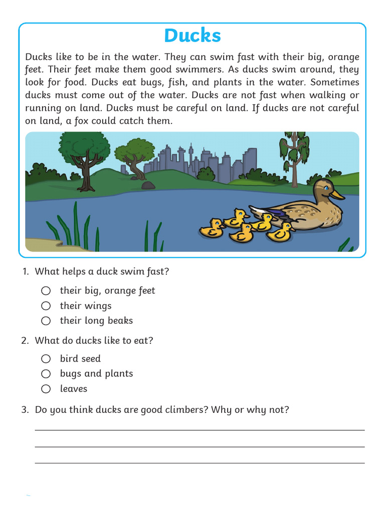 Ducks | PDF
