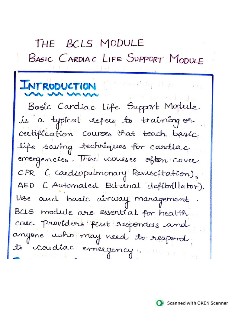 bsl module | PDF