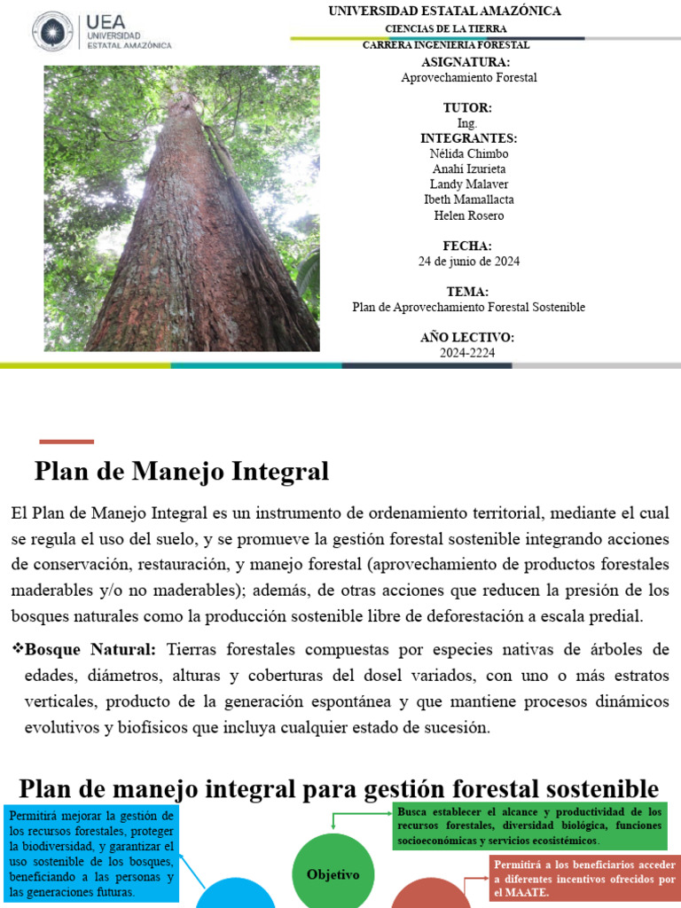 Plan de Manejo Forestal Sostenible | Descargar gratis PDF | Los bosques ...