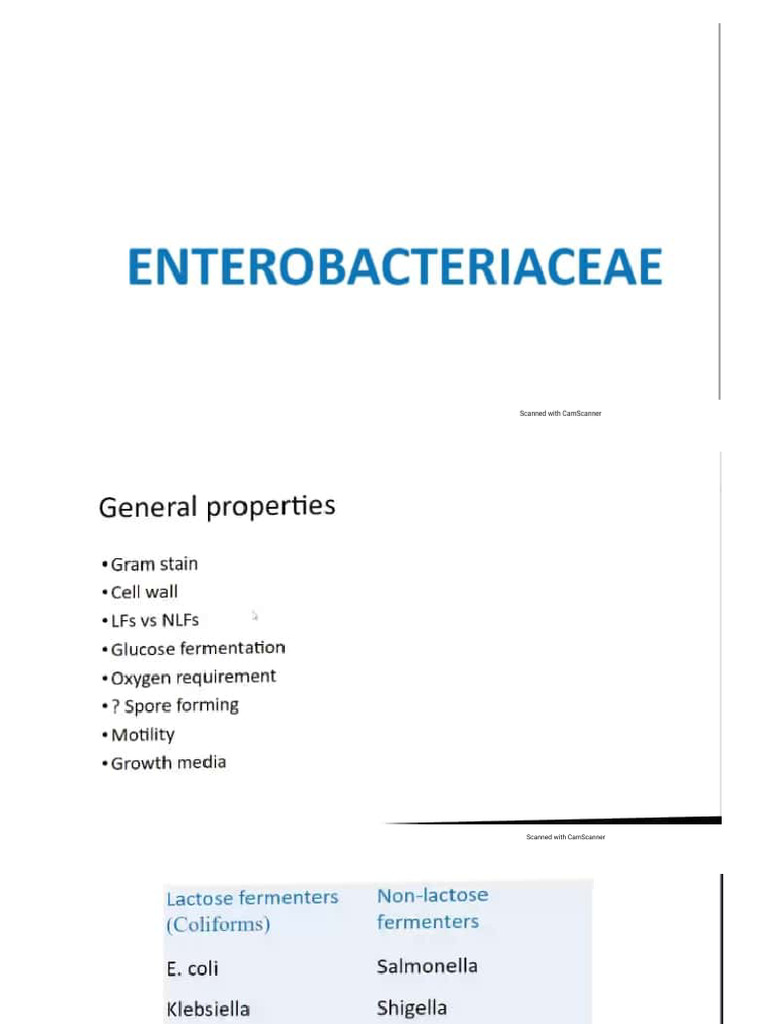 Enterobacteriaceae Lab | PDF