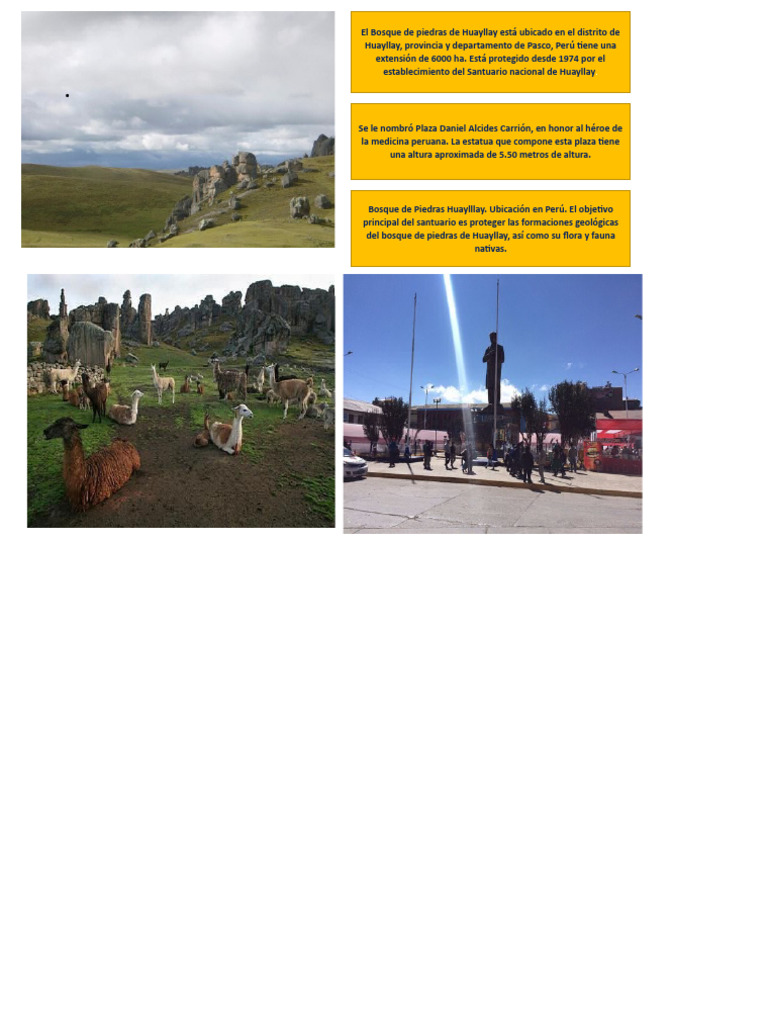 Cerro de Pasco | PDF | Perú | América del Sur