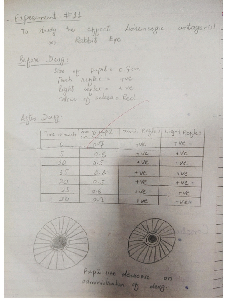 Practical No 11 (Pharmacology) | PDF