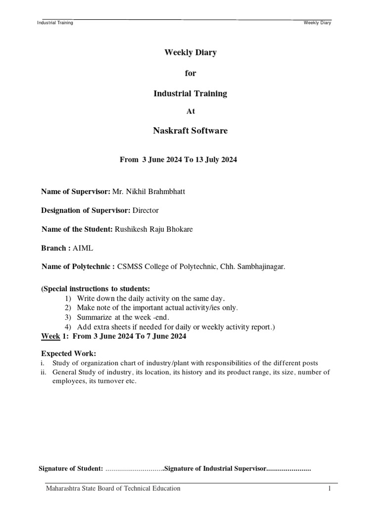 MSBTE ITR Report Format 2024 | PDF | Information Technology | Systems Engineering
