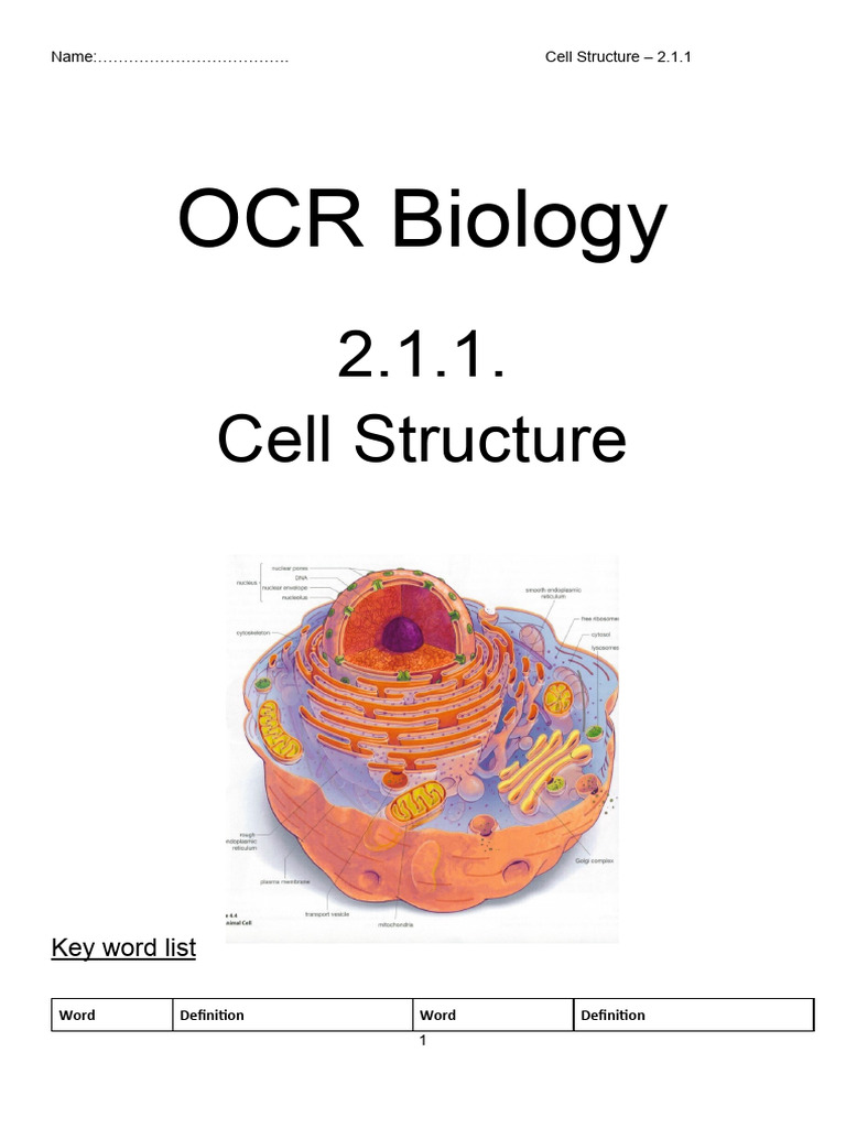 2 1 1 Cell Structure Pdf Organelle Endoplasmic Reticulum