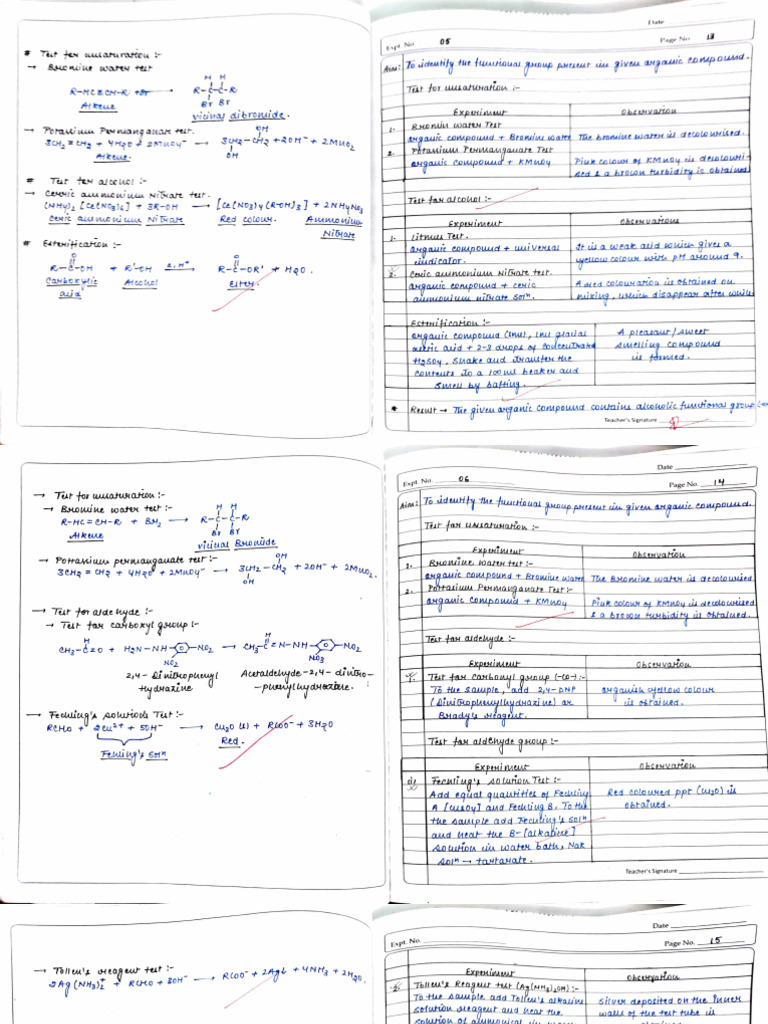 Functional Group Experiments | PDF