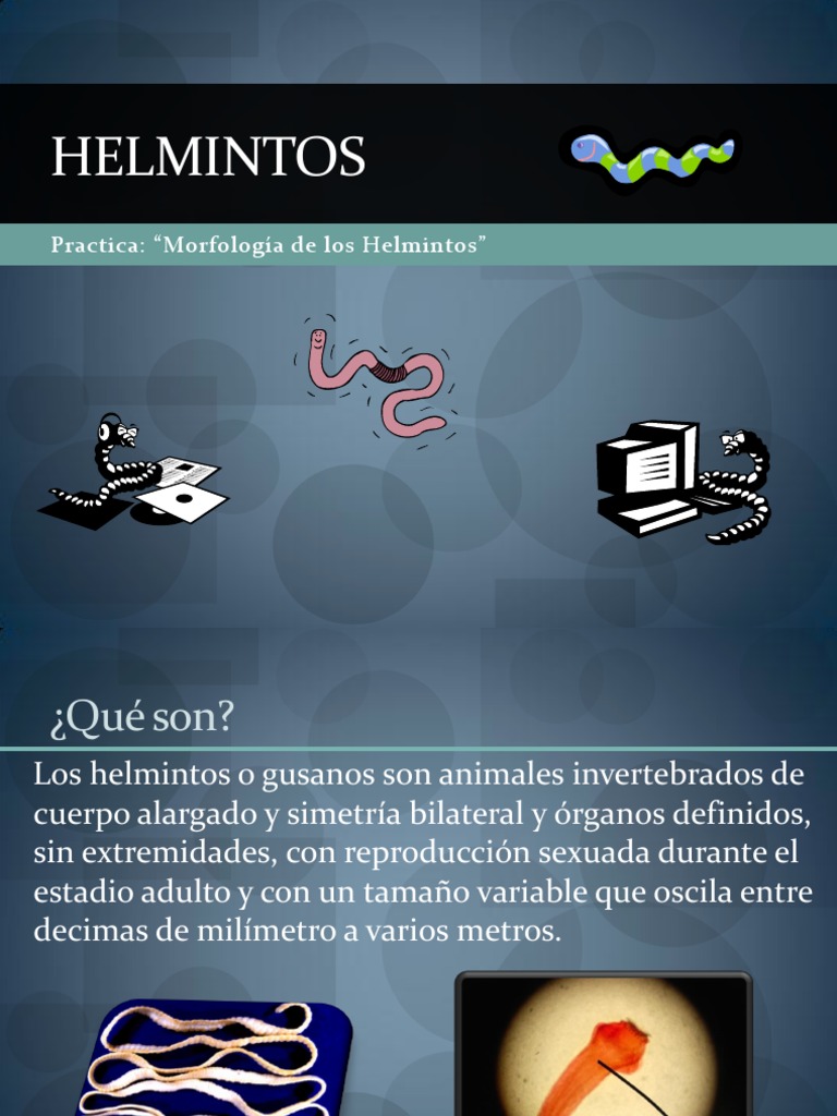 Helmintos: Practica: “Morfología de los Helmintos”