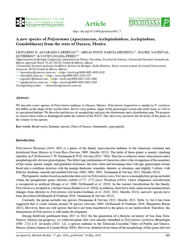 Polystemma Leopardum 2024 | PDF | Leaf | Hypothesis