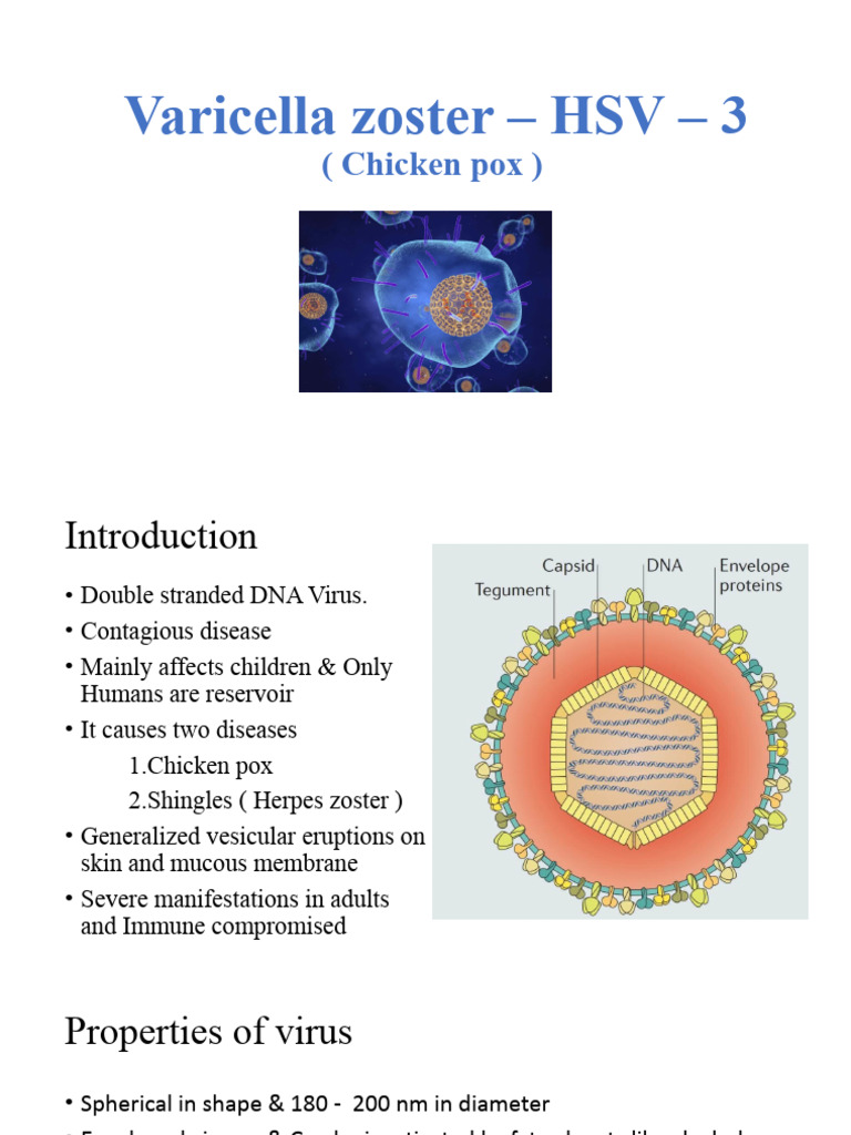Varicella - Chicken Pox | PDF | Virus | Epidemiology