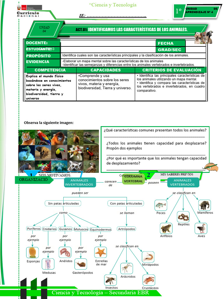 A-1º Act 1 Cyt Unid 4 - Sem 1 | PDF | Invertebrado | Esqueleto