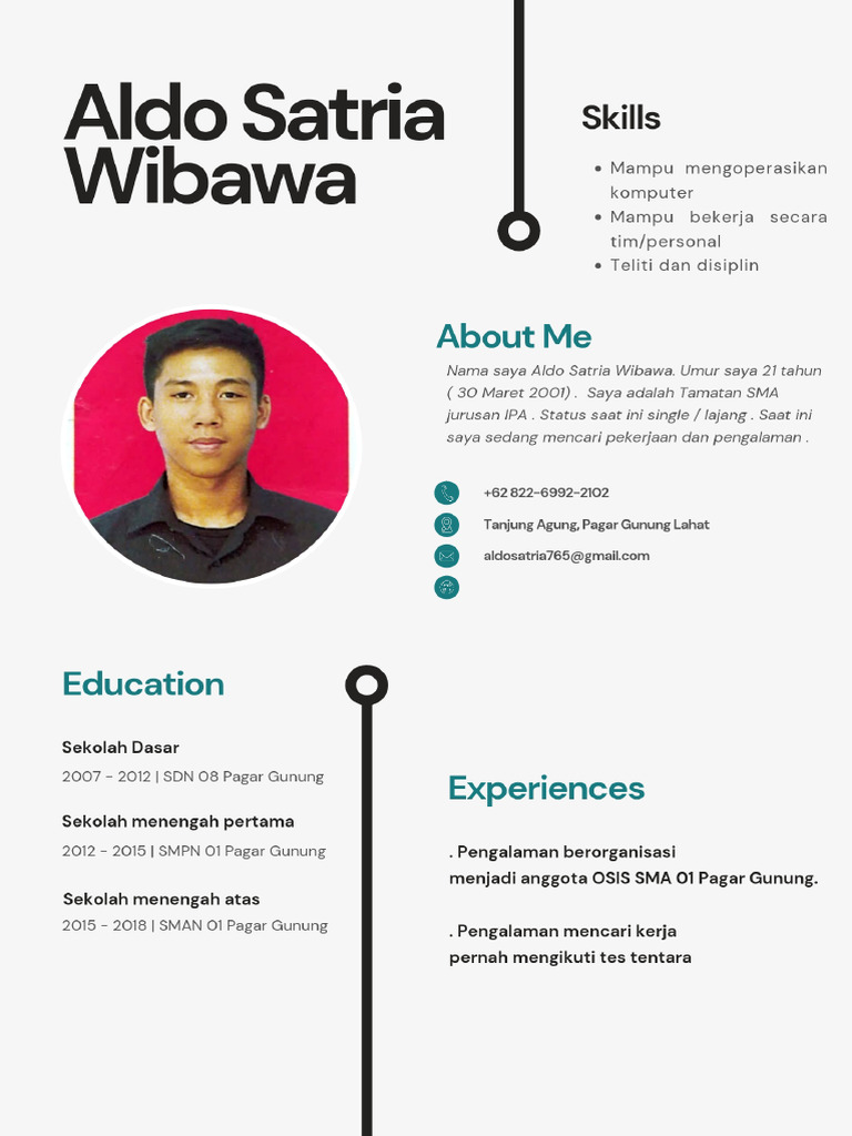 CV Aldo Satria | PDF