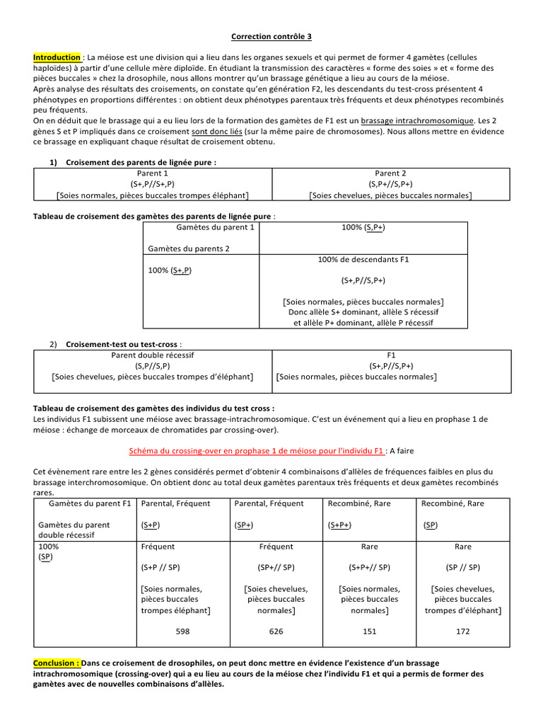 Tspe Correction Controle 3 | PDF | Méiose | Ploïdie