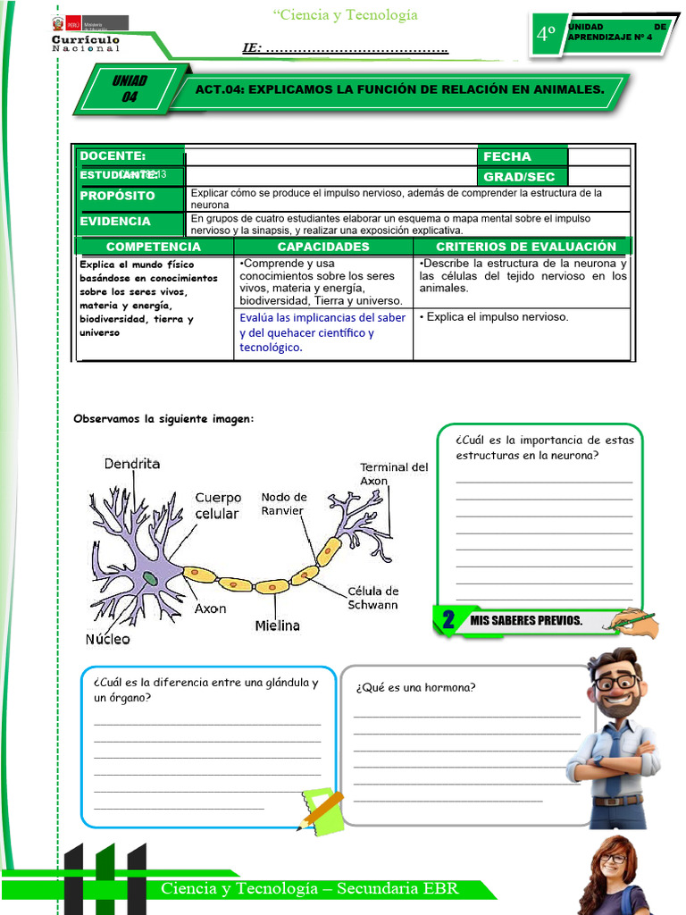 B-4º ACT 4-CYT-UND 4- SEM 2 | Descargar gratis PDF | Neurona | Sistema nervioso