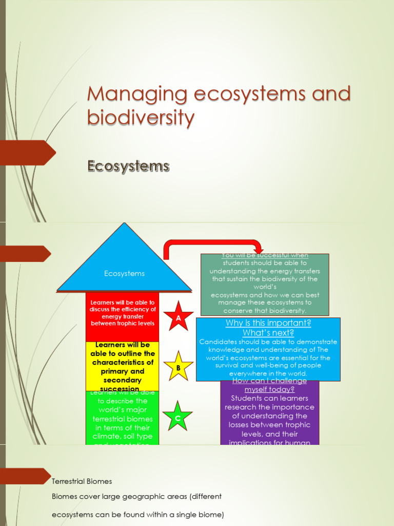 Ecosystems | PDF | Ecosystem | Forests