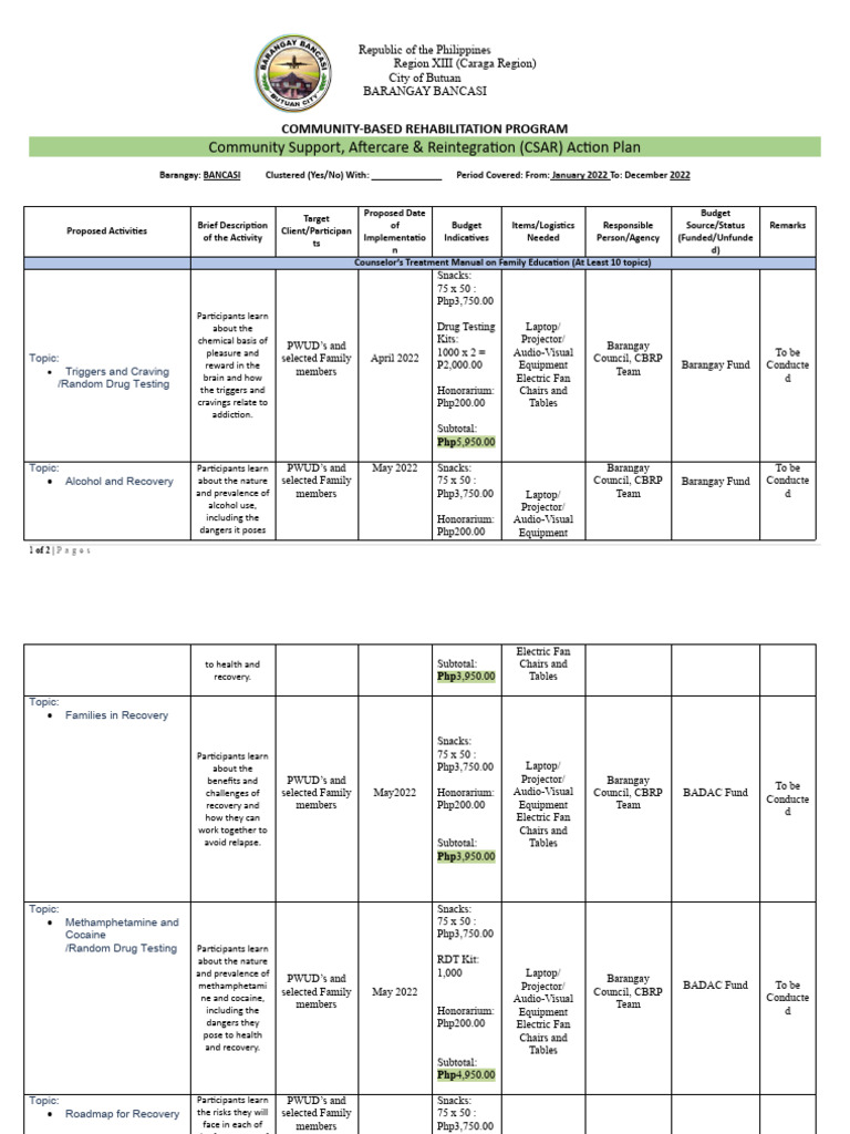 CSAR Action Plan for Drug Rehabilitation | PDF | Social Aspects Of ...