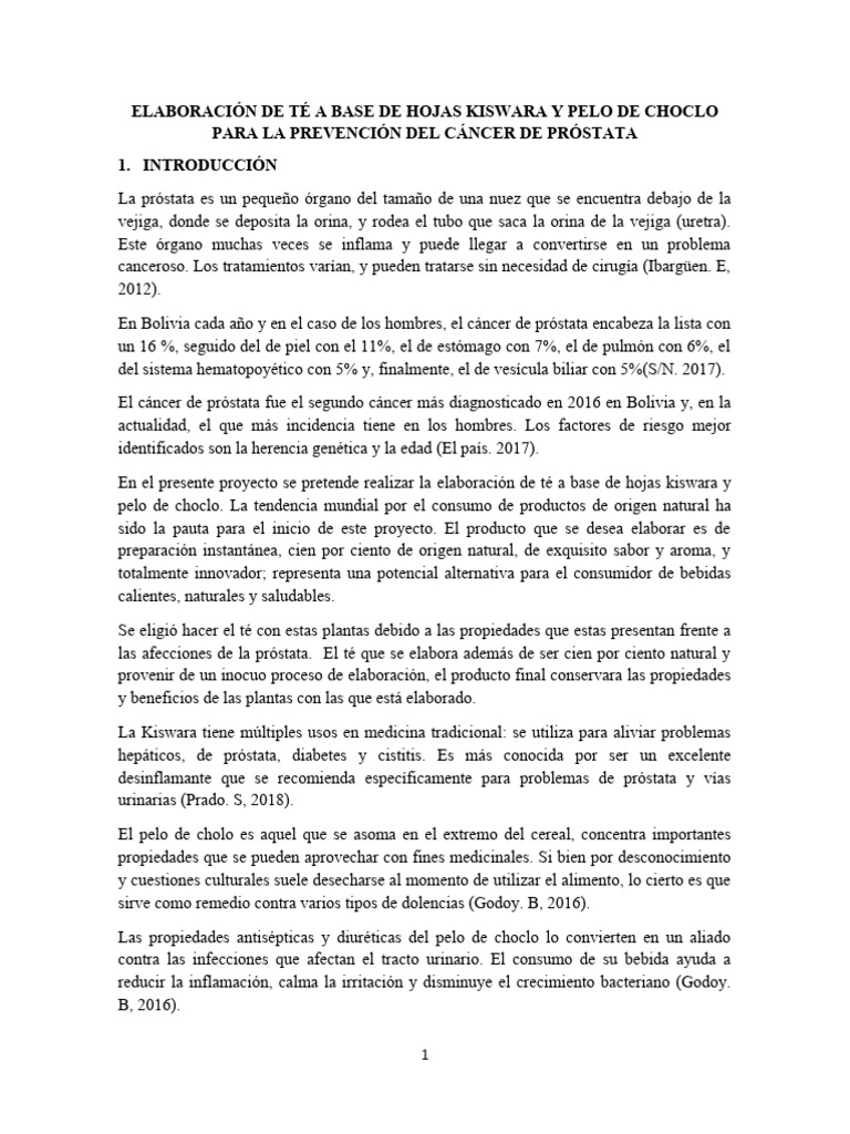 Elaboración de Té A Base de Hojas Kiswara Y Pelo de Choclo para La ...