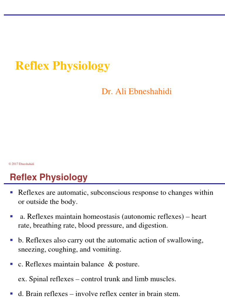 Chap 6 Reflexes | PDF | Motor Neuron | Axon