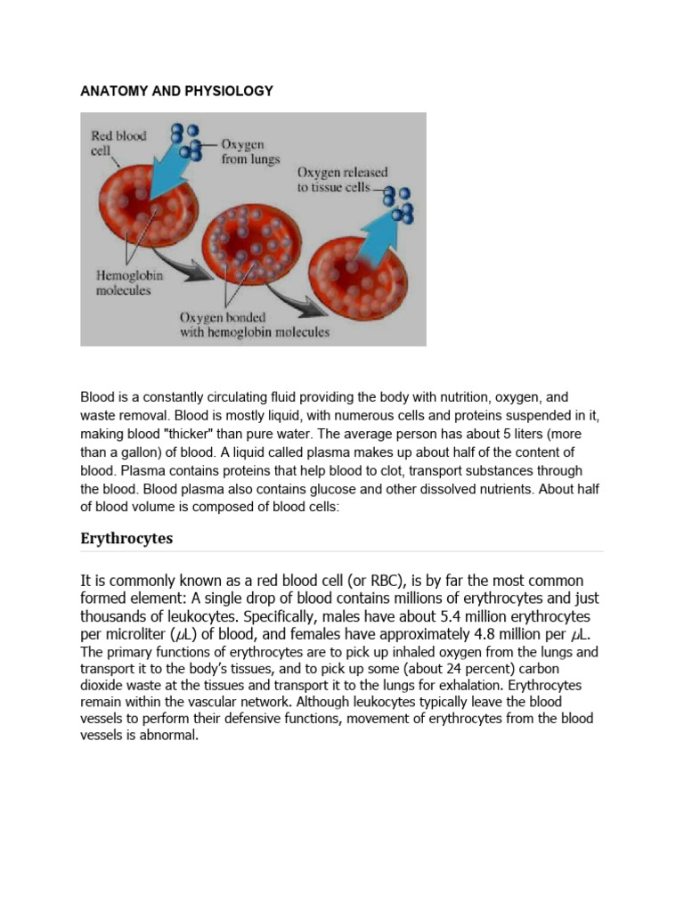 ANAPHY-and-PATHOPHYSIOLOGY-OF-ANEMIA | PDF | Red Blood Cell | Hemoglobin