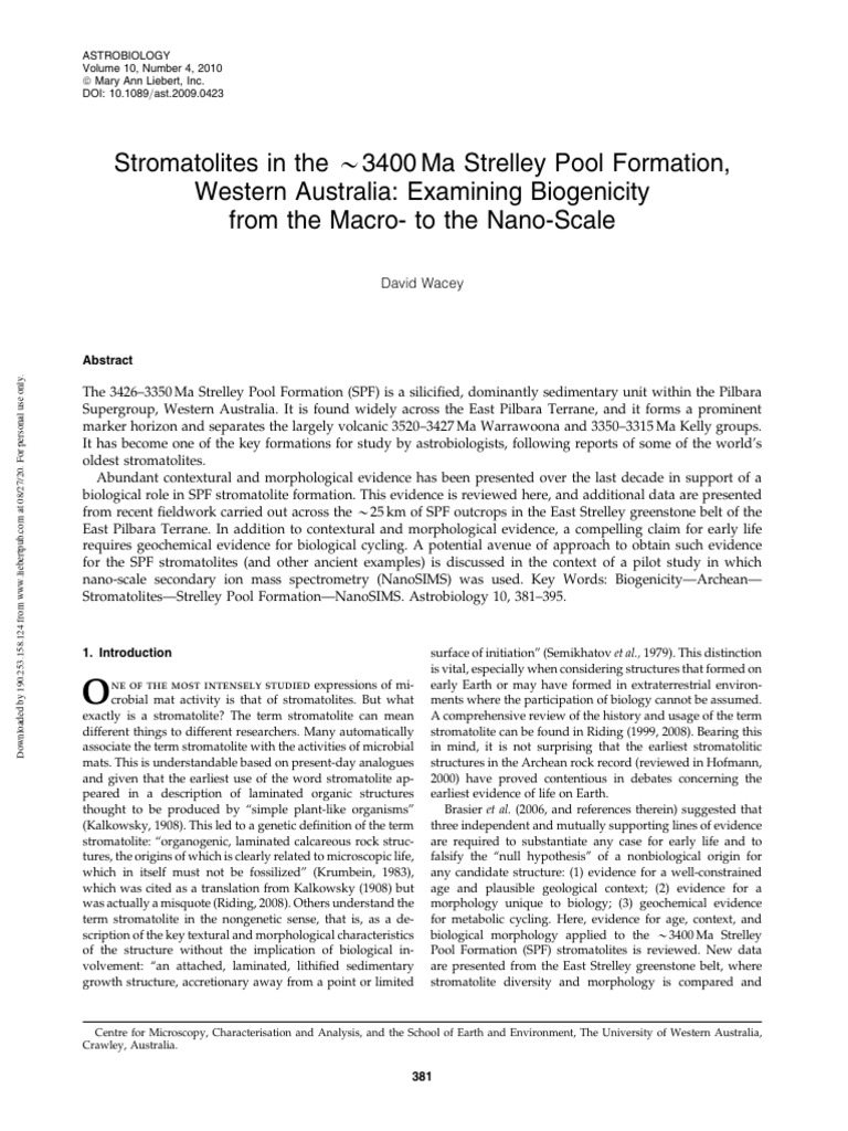 Strelley Pool Stromatolites: Biogenicity Analysis | PDF | Petrology ...