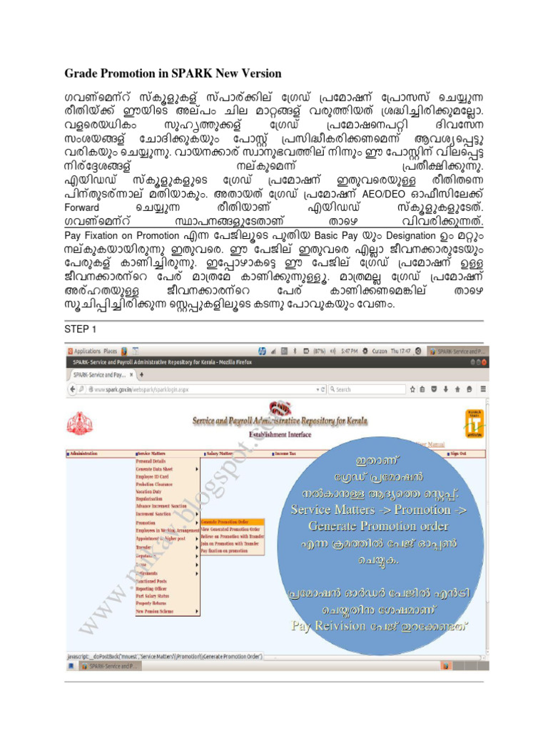 Grade Promotion Process in SPARK | PDF