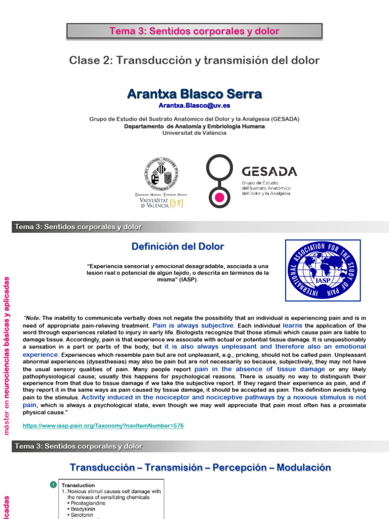 TEMA 3.2 Transducción y Transmisión Del Dolor | PDF | Dolor | Médula espinal