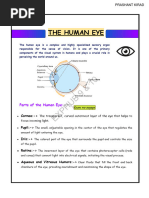Human Eye and Colourful World Notes | PDF | Eye | Human Eye